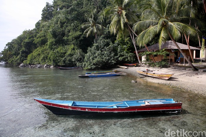 Menikmati Keindahan Alam Halmahera Selatan di Sali Bay Resort