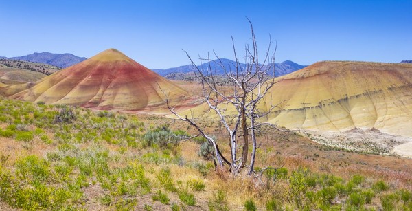Fenomena Alam, Perbukitan Warna-warni Bagai Lukisan