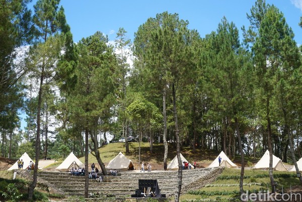 Foto: Glamping Mewah Danau Toba yang Dikunjungi Jokowi