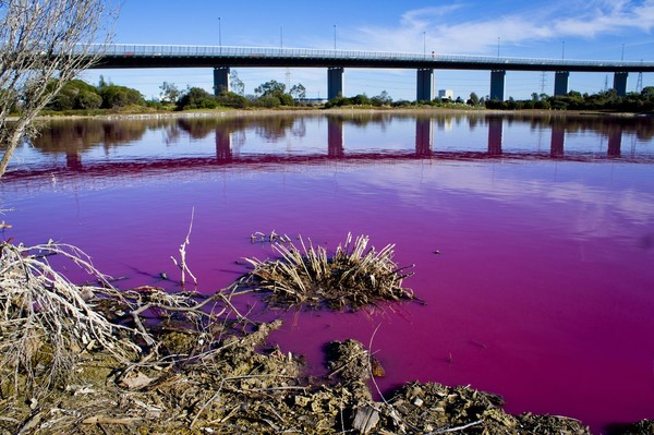 Foto: Danau Pink yang Cantik, Tapi Jangan Disentuh