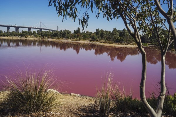 Foto: Danau Pink yang Cantik, Tapi Jangan Disentuh