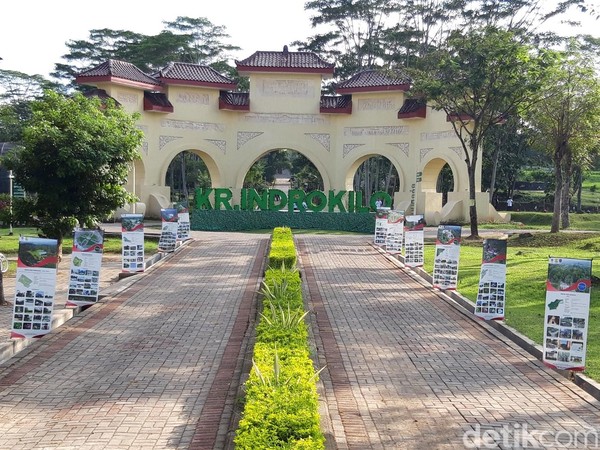 Foto: Air Terjun 'Niagara' dan Pohon Langka di Boyolali