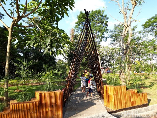 Foto: Air Terjun 'Niagara' dan Pohon Langka di Boyolali