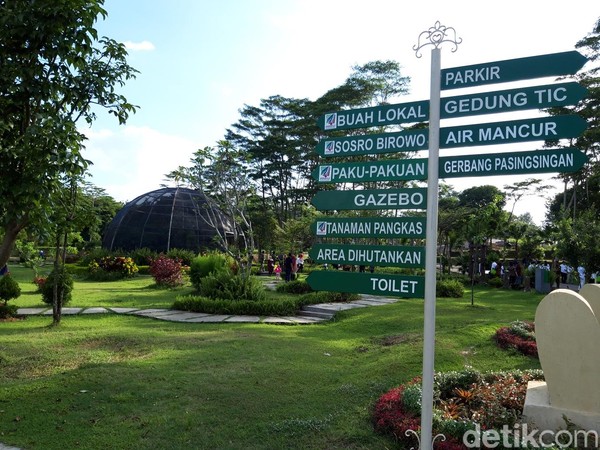 Foto: Air Terjun 'Niagara' dan Pohon Langka di Boyolali