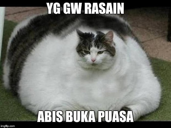 Deretan Meme Kocak Perjuangan Turunkan Berat Badan di Bulan Puasa