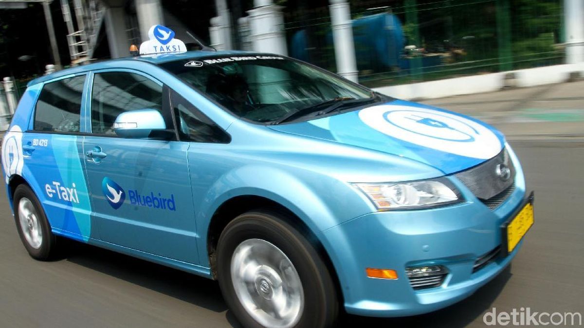 Blue Bird Taxi Logo