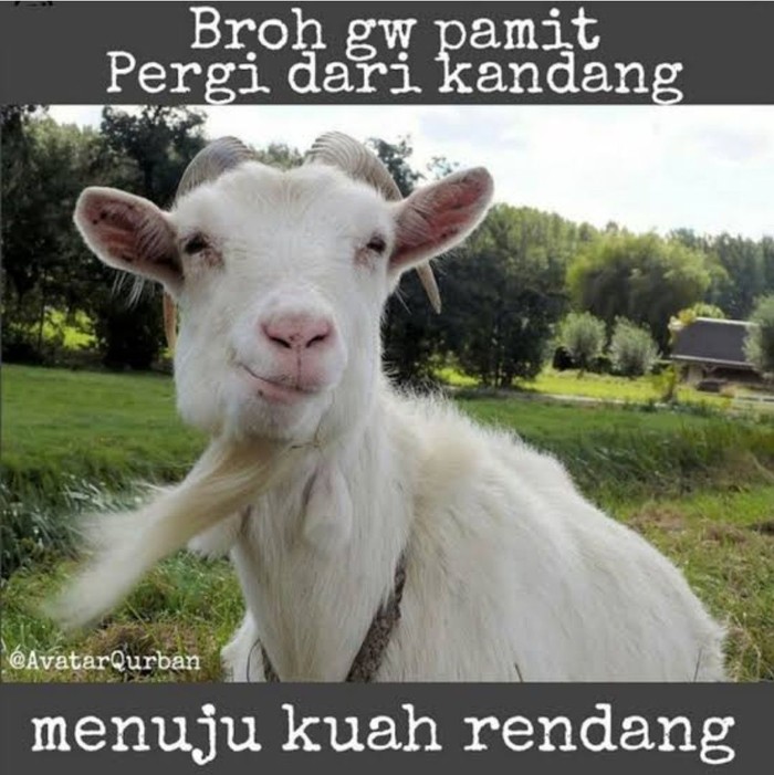 Banyak yang Ketipu Sama Lengkuas, Ini 10 Meme Kocak Soal Rendang