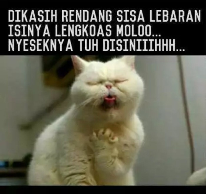 Banyak yang Ketipu Sama Lengkuas, Ini 10 Meme Kocak Soal Rendang