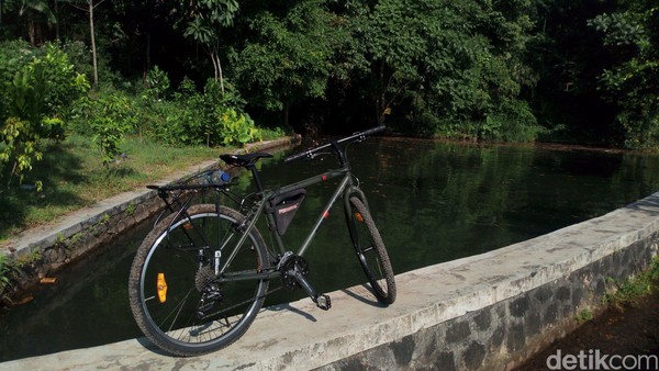 Foto: Jalur Sepeda di Semarang yang Segar Banget