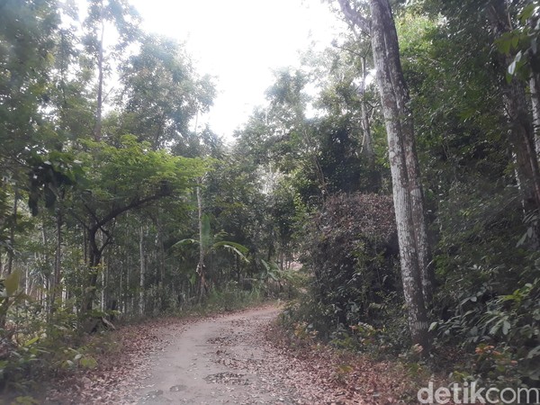 Foto: Mata Air Bantul yang Tak Pernah Kering