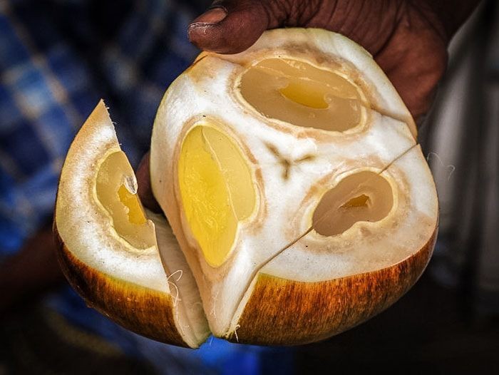 Buah Lontar Ketahui Manfaat Hingga Cara Makannya