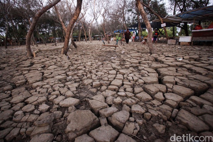 Tanah Retak Akibat Kemarau Jadi Tempat Wisata Baru di Tangerang