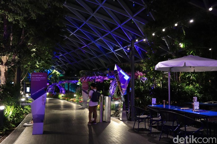 Potret Air Terjun Jewel Changi di Malam Hari