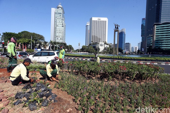 Usai Bambu Getah Getih, Bundaran HI Kini Dihias Taman Bunga
