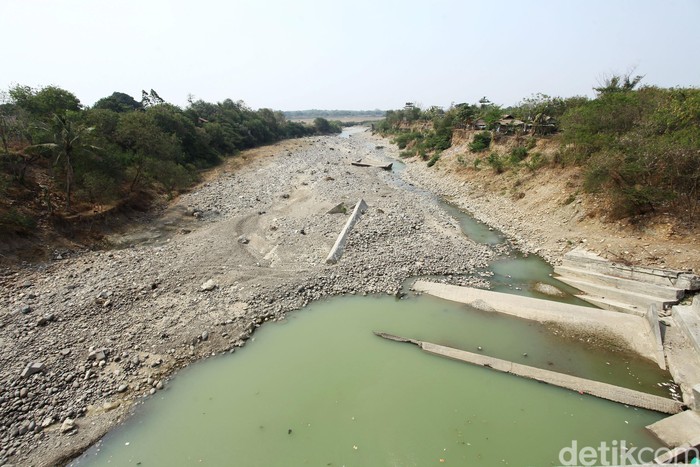 Potret Keceriaan Anak-anak Berenang di Sungai Cipamingkis