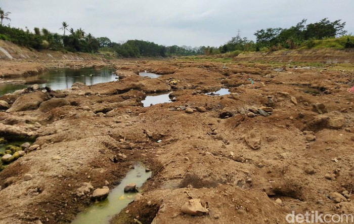 Penampakan Dasar Sungai Citanduy yang Mengering
