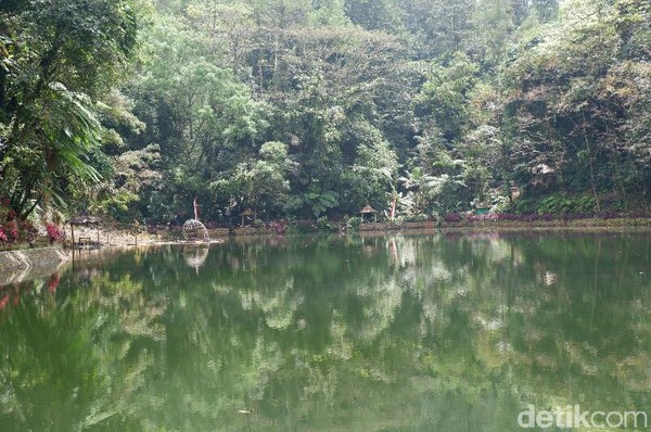 Foto Nuansa Mistis Rowo Bayu di Banyuwangi