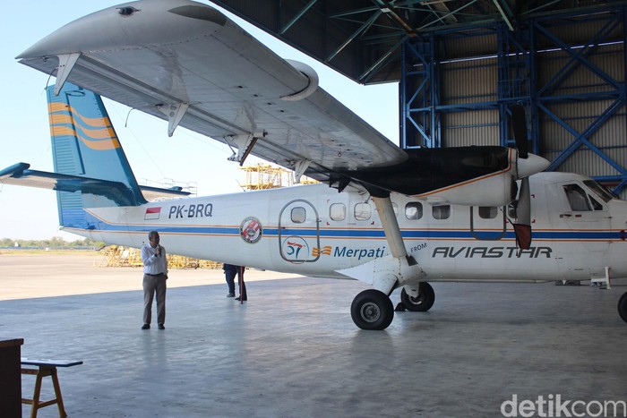 Logo Merpati Kini Terbang Lagi