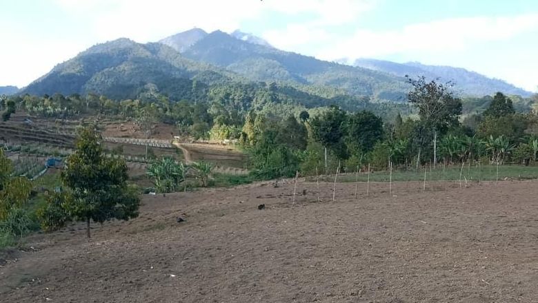 Kebotakan di Hutan Konservasi Gunung Rinjani