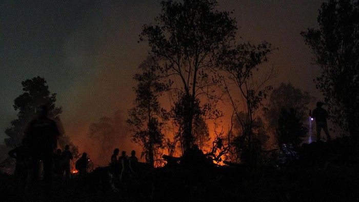 Gubernur Riau Tetapkan Siaga Darurat Karhutla Hingga Oktober 2020