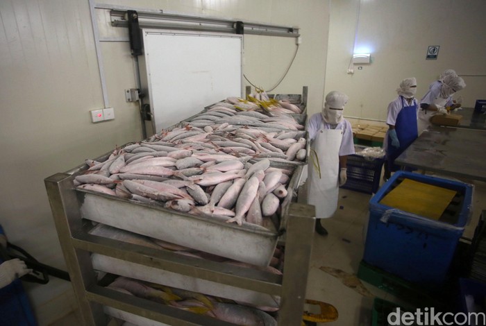 Melihat Aktivitas di Cold Storage Natuna
