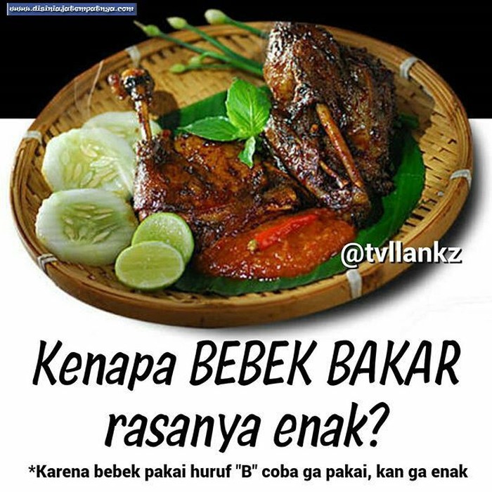 Meme Bebek Ini Tunjukkan Bebek Tak Hanya Enak Digoreng Tapi Juga Bikin ...