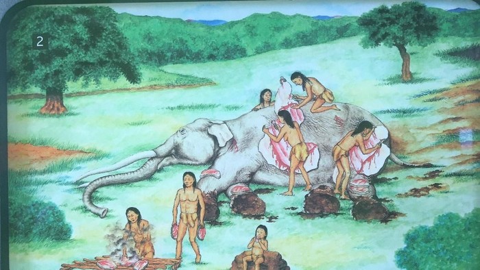 Fakta Menarik Pola Makan Manusia Purba di Jaman Dulu - Halaman 3 Fakta Menarik Pola Makan Manusia Purba di Jaman Dulu - Halaman 3