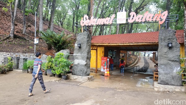 Foto: Hutan Romantis di Pacitan