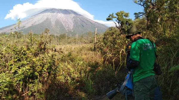 Potret Gunung Semeru 'Bertopi' yang Bikin Kangen Netizen