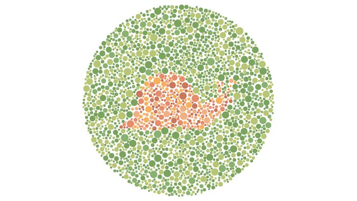 Sulit Lihat Siluet Hewan Ini? Bisa Jadi Kamu Buta Warna - Foto 4 Sulit Lihat Siluet Hewan Ini? Bisa Jadi Kamu Buta Warna - Foto 4