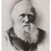 Hari Evolusi dan Teori Charles Darwin Tentang Seleksi Alam