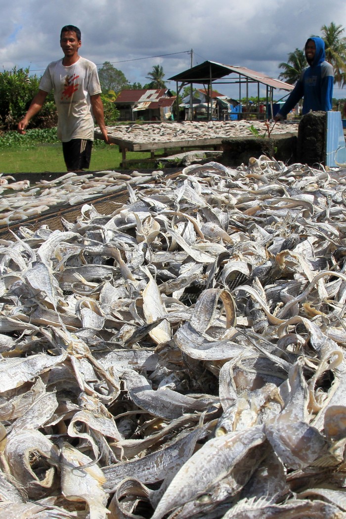 Produksi Ikan Asin di Aceh Barat Meningkat