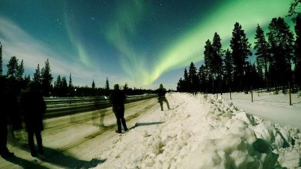 Potret Keindahan Aurora di Berbagai Tempat Dunia