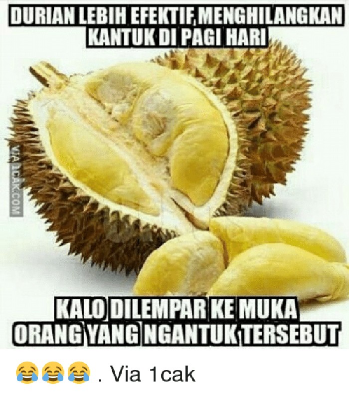 Pencinta Durian, Ini 10 Meme Kocak Durian Buat Kamu
