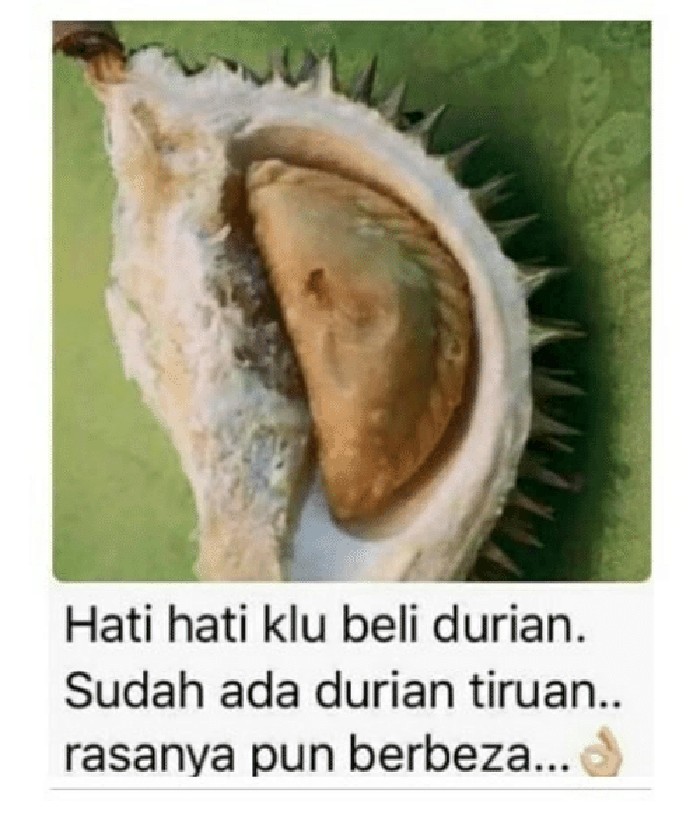 Pencinta Durian, Ini 10 Meme Kocak Durian Buat Kamu