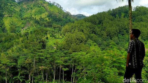 Potret Hijau Desa Cawet di Kabupaten Pemalang