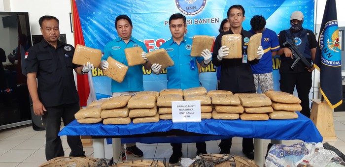 Bnnp Banten Gagalkan Penyelundupan 50 Kg Ganja Dari Aceh