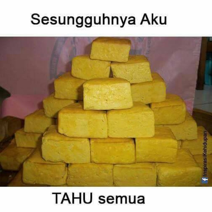 Kocak! Ini 10 Meme Tahu Ini Dijamin Bikin Ngakak