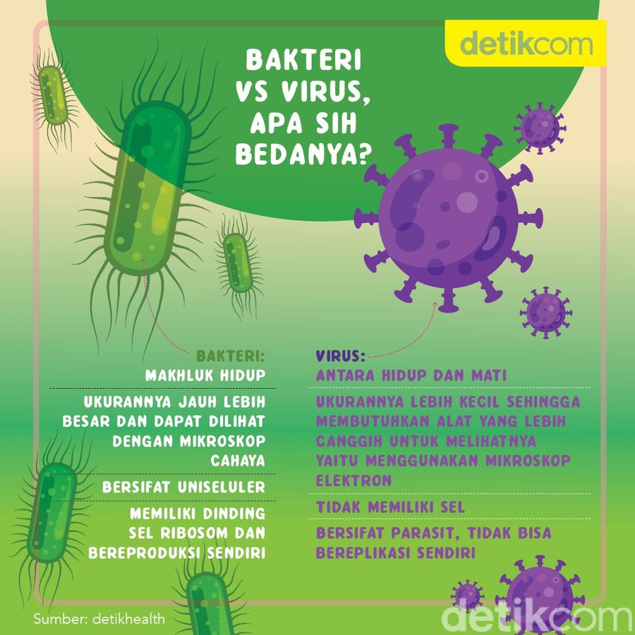 Perbedaan Kuman Virus Dan Bakteri Dunia Biologi - vrogue.co Perbedaan Kuman Virus Dan Bakteri Dunia Biologi - vrogue.co
