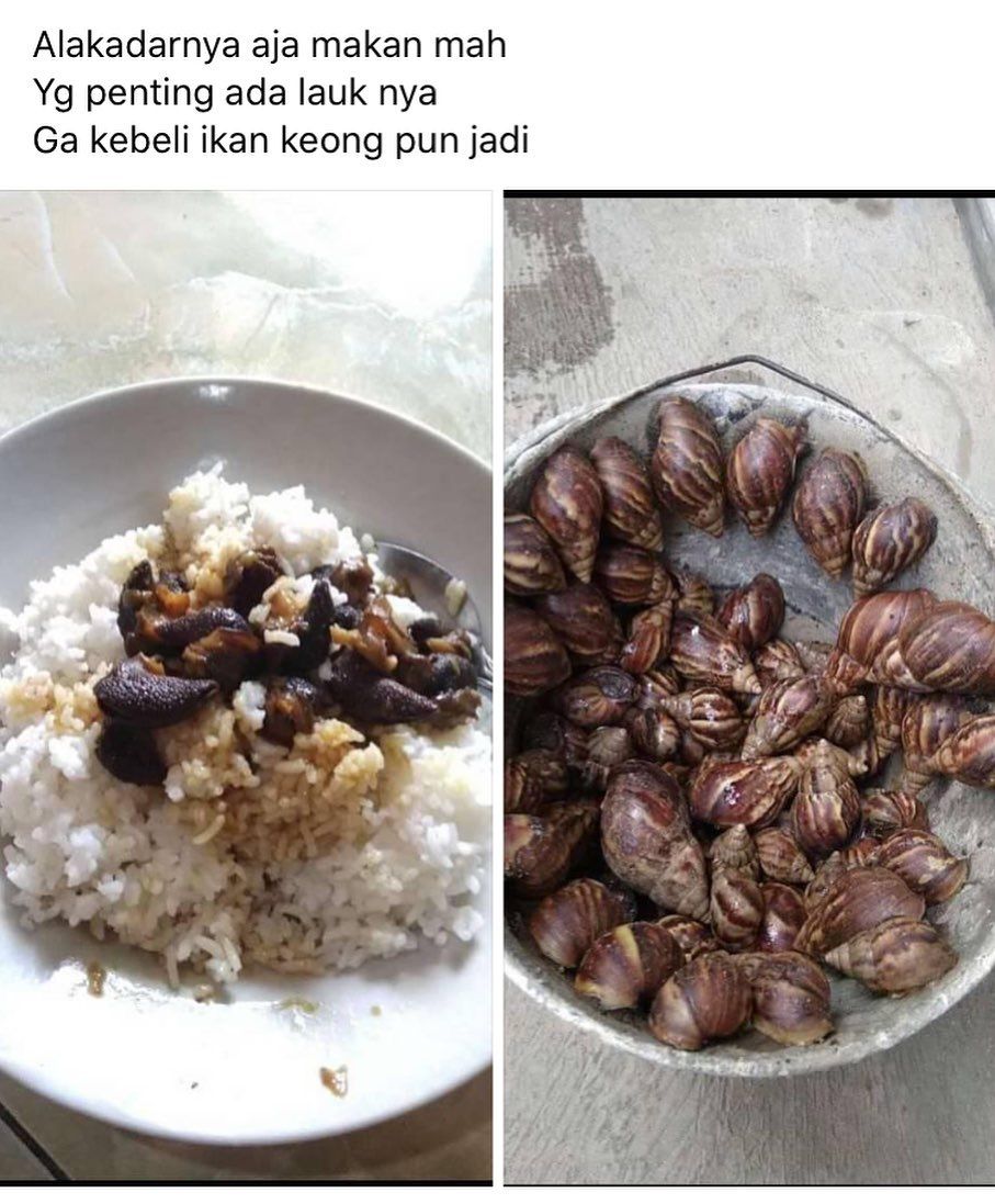 Tak Punya Lauk, Netizen Ini Menyantap Bekicot Tak Punya Lauk, Netizen Ini Menyantap Bekicot