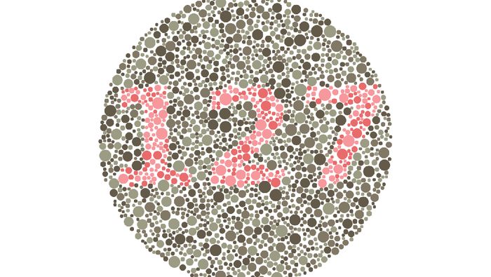 Tes Buta Warna, Bisa Lihat Angka Tersembunyi di Gambar Ini? - Foto 7 Tes Buta Warna, Bisa Lihat Angka Tersembunyi di Gambar Ini? - Foto 7