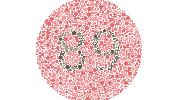 Tes Buta Warna, Bisa Lihat Angka Tersembunyi di Gambar Ini? - Foto 8 Tes Buta Warna, Bisa Lihat Angka Tersembunyi di Gambar Ini? - Foto 8
