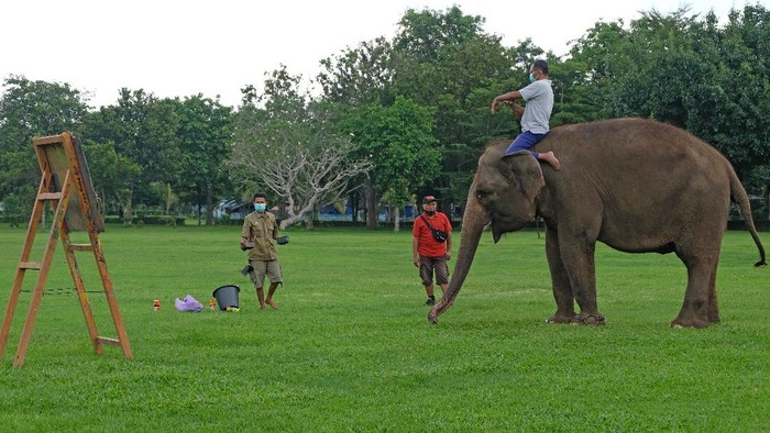 Seru Banget! Yuk, Intip Gajah Melukis di Candi Borobudur