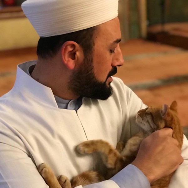 Potret Masjid yang Jadi Rumah Kucing Liar