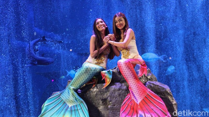 Bikin Meleleh! Kenalan Yuk dengan Dua Putri Duyung Cantik Ini