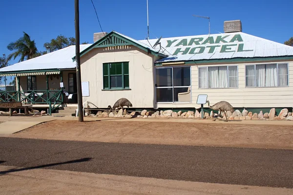 Duel Hotel Yaraka Vs Burung Emu yang Rakus