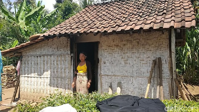 Seorang Anak di Probolinggo Gugat Ibu Kandung Gegara Tanah Warisan Seorang Anak di Probolinggo Gugat Ibu Kandung Gegara Tanah Warisan