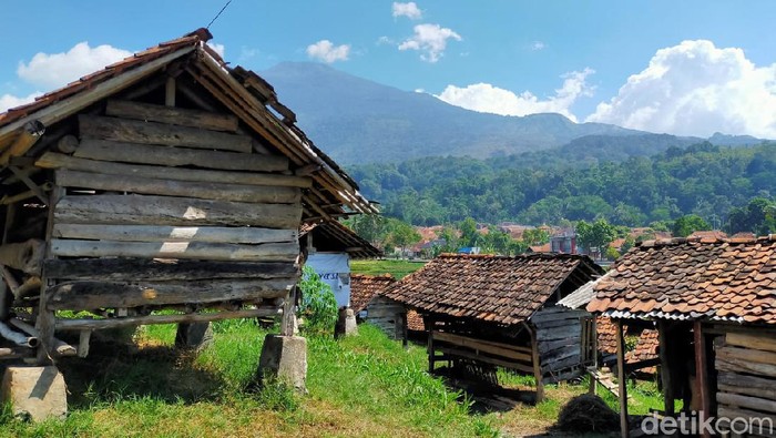 Potret Desa Wisata yang Memiliki 1.000 Domba