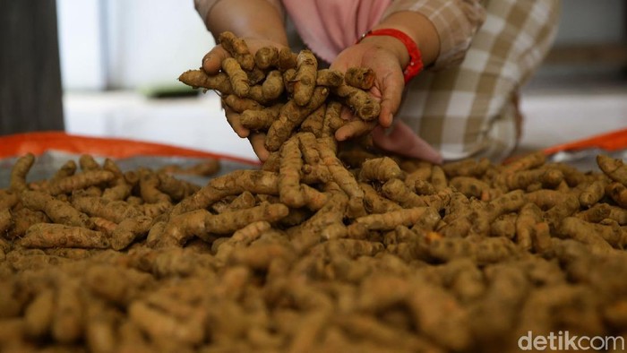 Begini Proses Pembuatan Jamu Kemasan Made in Tangerang