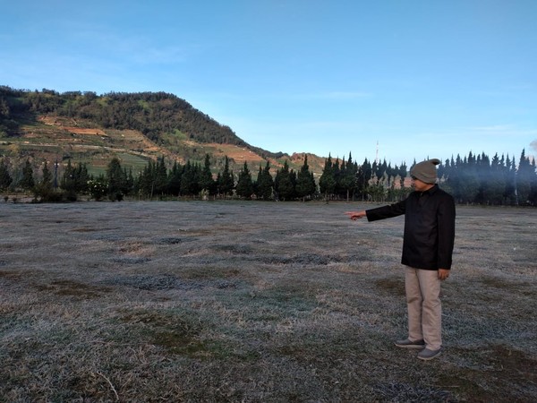 Potret Embun Es Dieng Pagi Ini, Suhunya Minus 5 Derajat